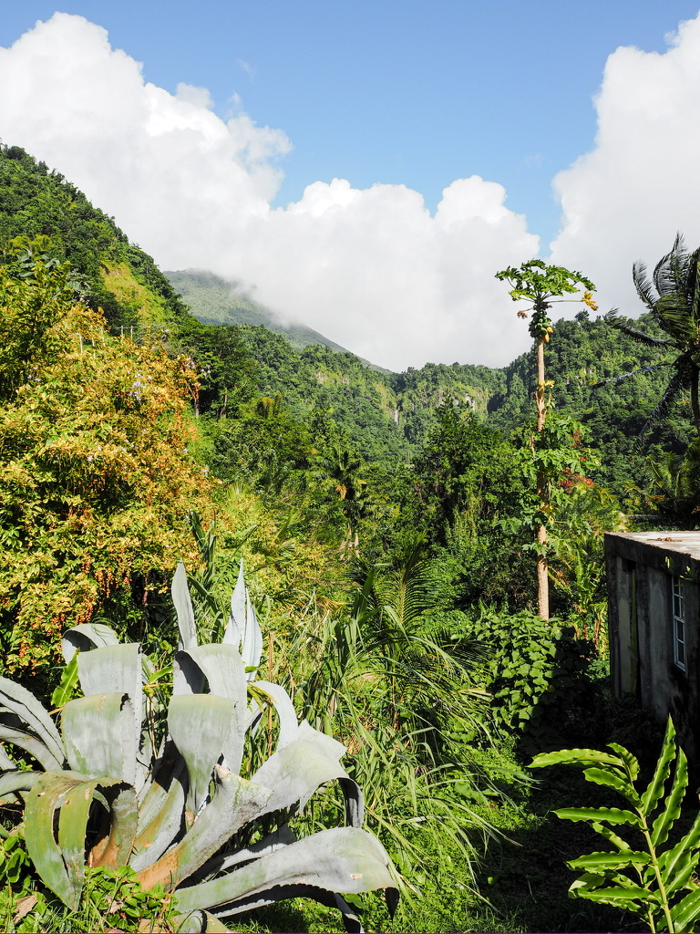 Swimming in Titou Gorge • Dominica's stunning natural wonder