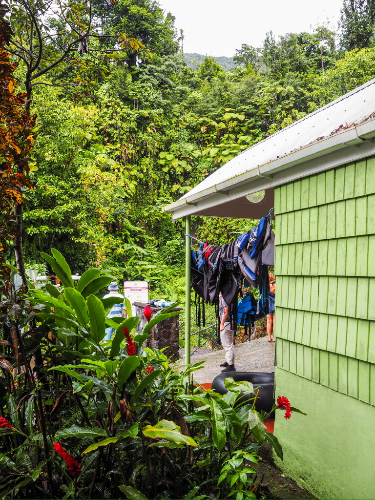 Swimming in Titou Gorge • Dominica's stunning natural wonder